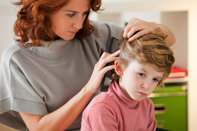 Kopf- und Filzläuse: Symptome erkennen und Läuse behandeln